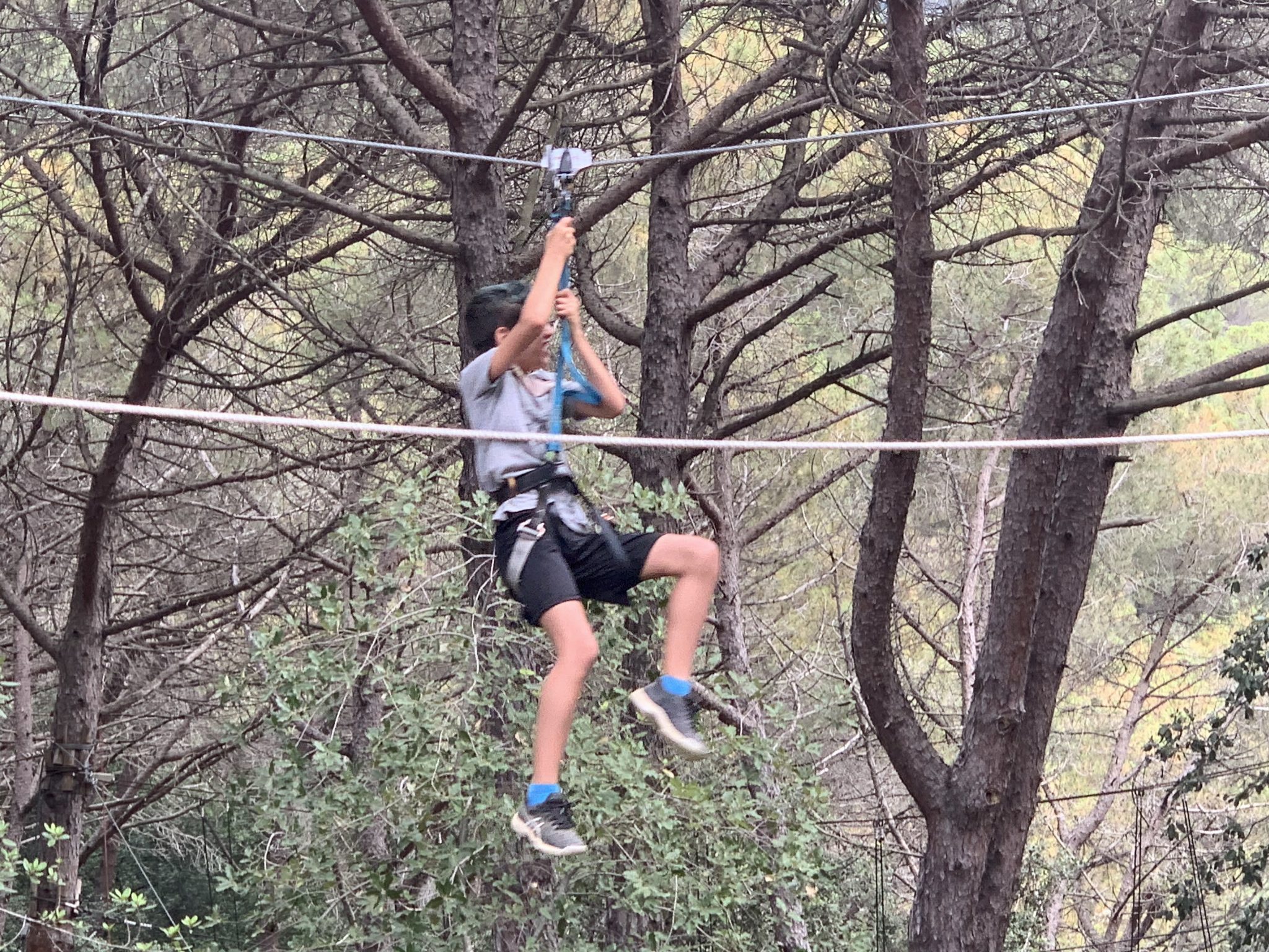 Sortida al Bosc Vertical de Mataró – REVISTA INS AIGUAVIVA 2021-2022